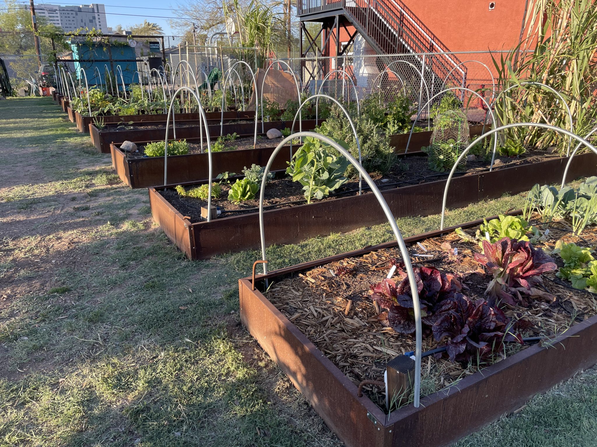 Garden – Garfield Historic Neighborhood